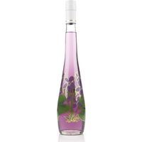 G. Miclo Violet Liqueur 18% Liqueurs | Compare Prices